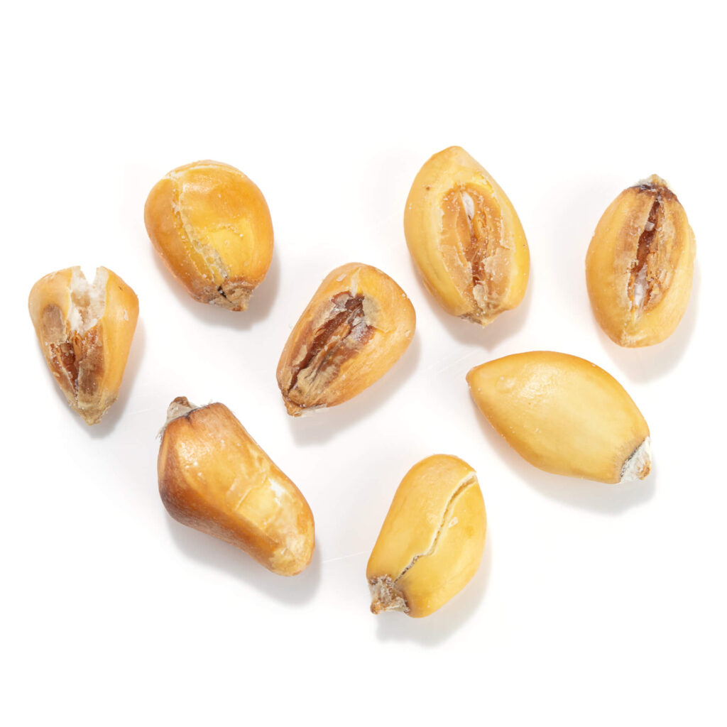 The Yum Shop | Shop Your Favorite International Snacks & Candy ...